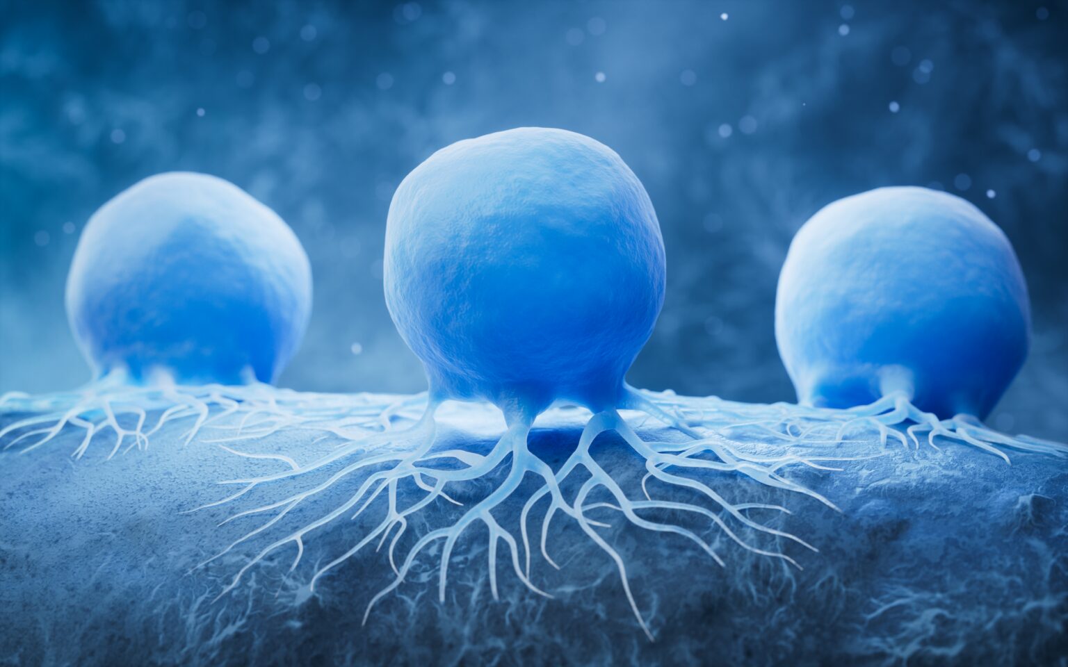 Global Imaging Core Lab for Quality Trials | Perceptive